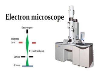 Microscopy | PPT