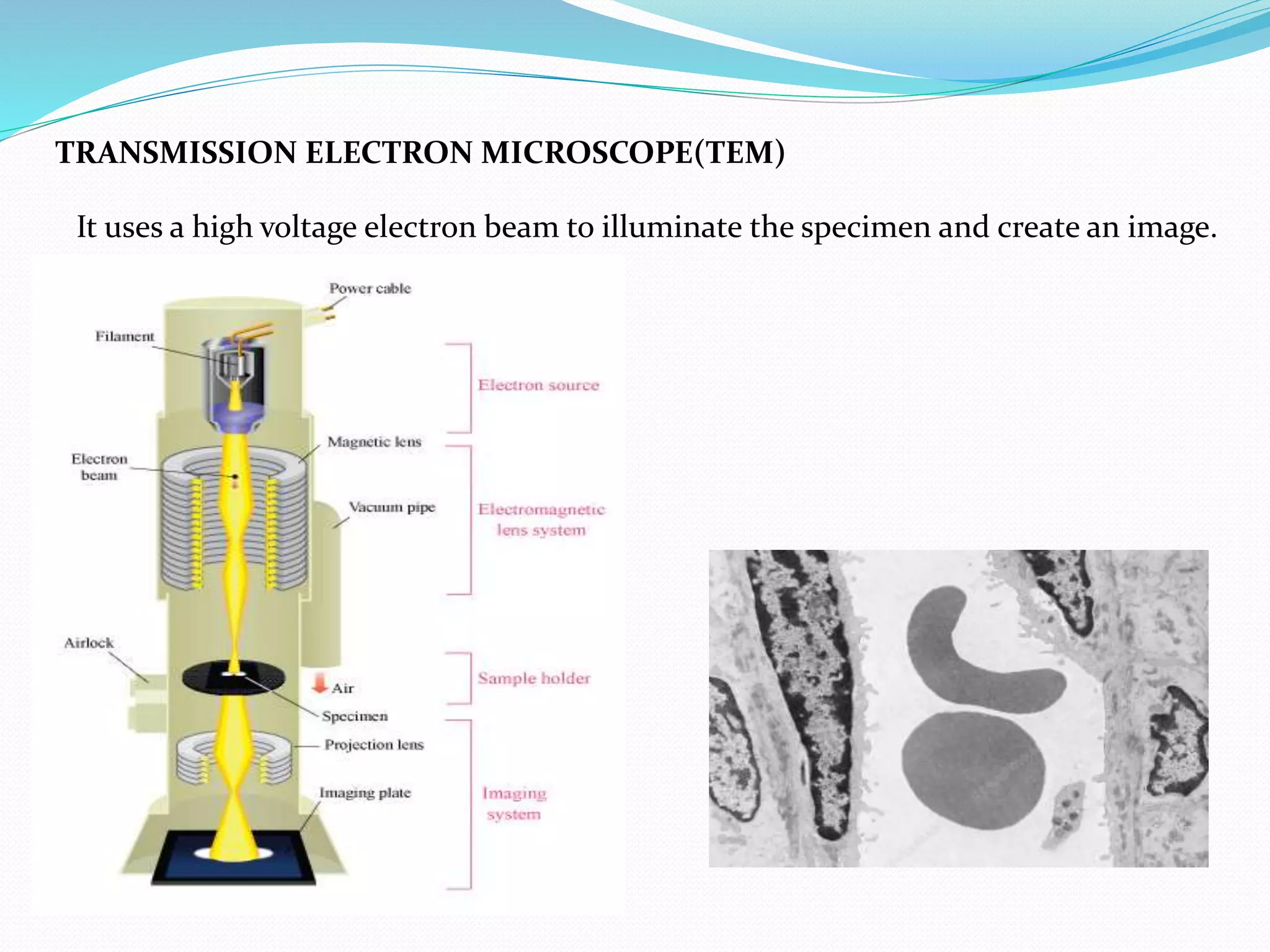 MICROSCOPY.pptx | Physics | Science