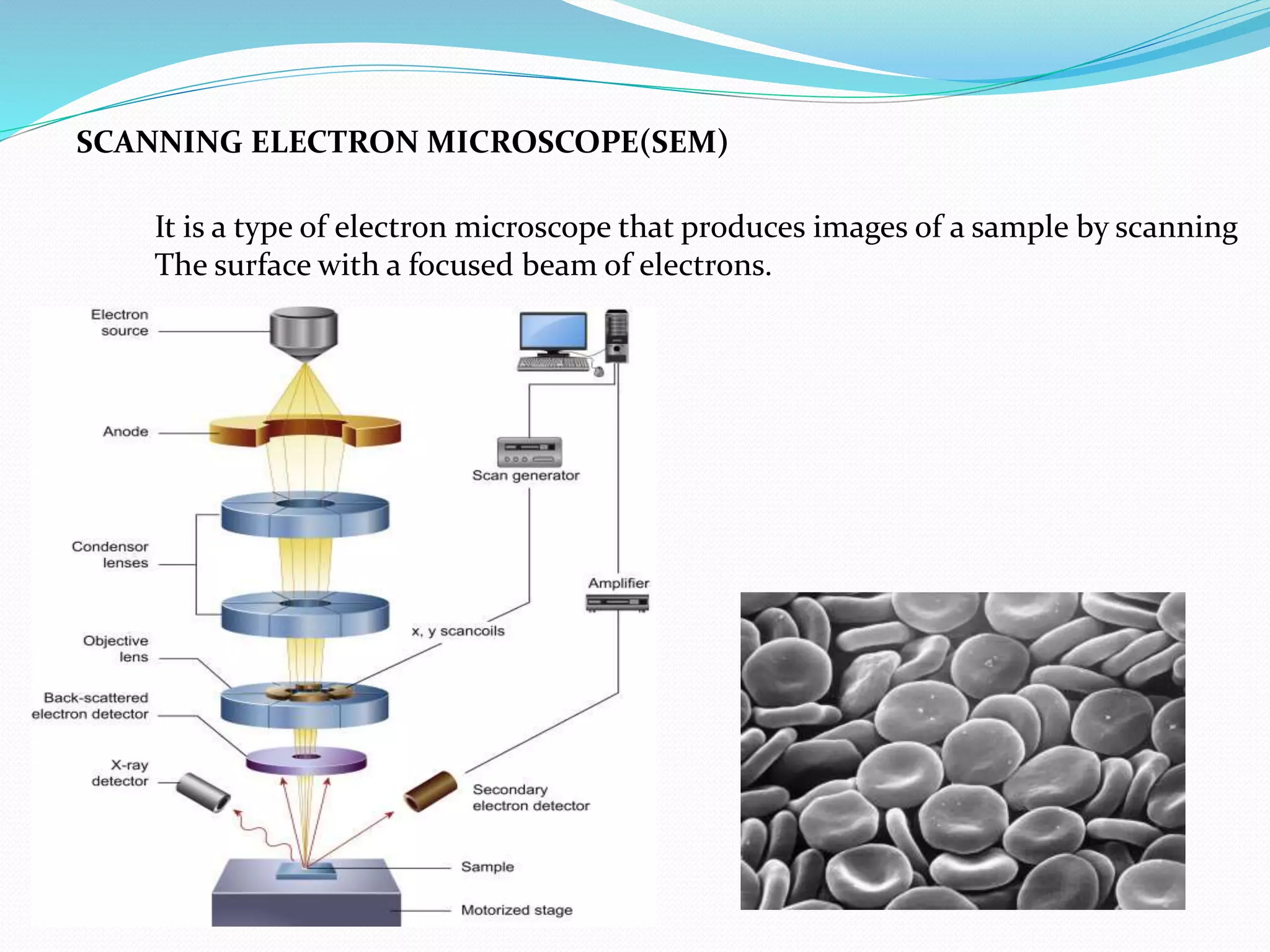 MICROSCOPY.pptx | Physics | Science