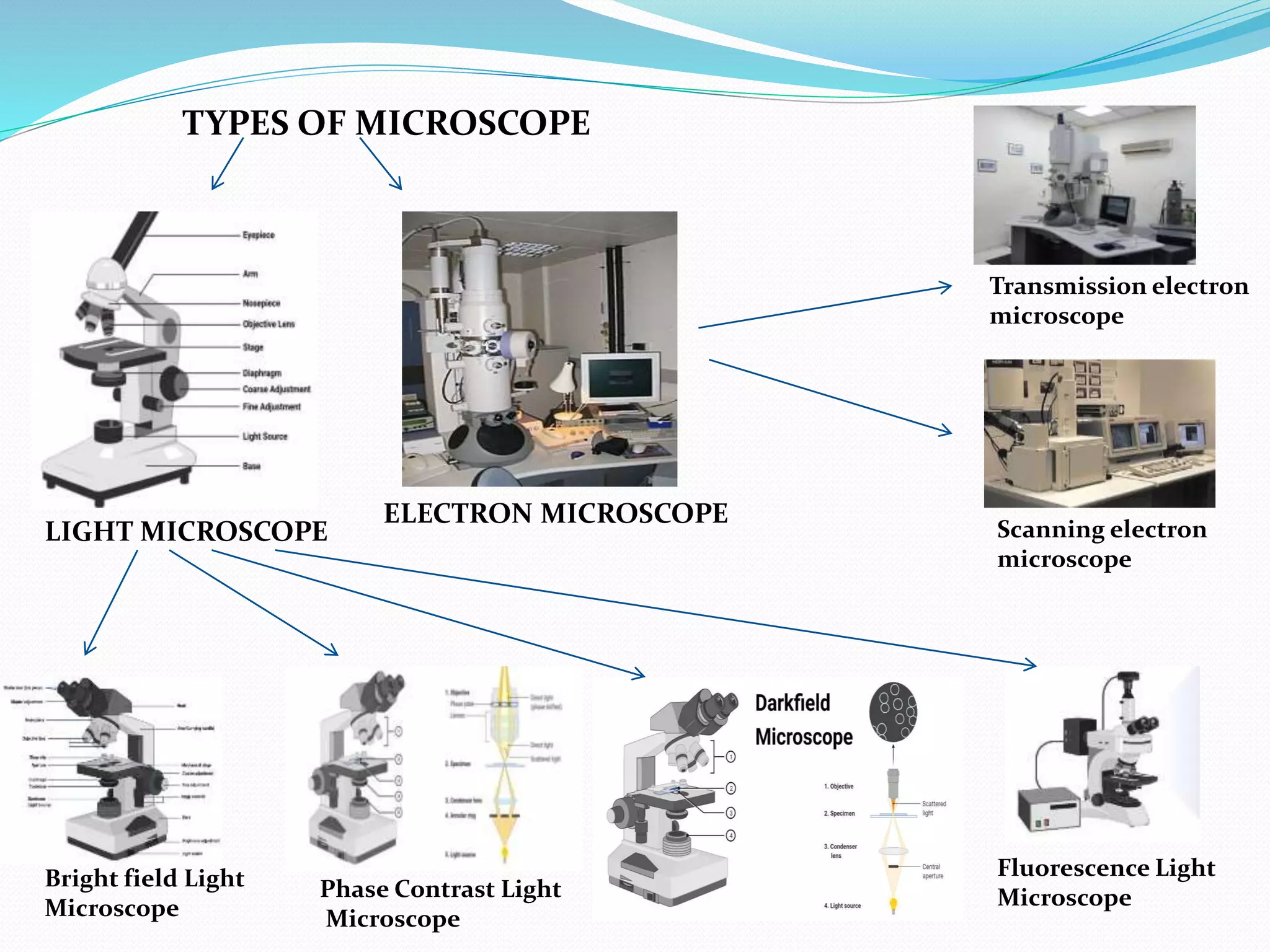 MICROSCOPY.pptx | Physics | Science