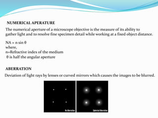 MICROSCOPY.pptx | Physics | Science