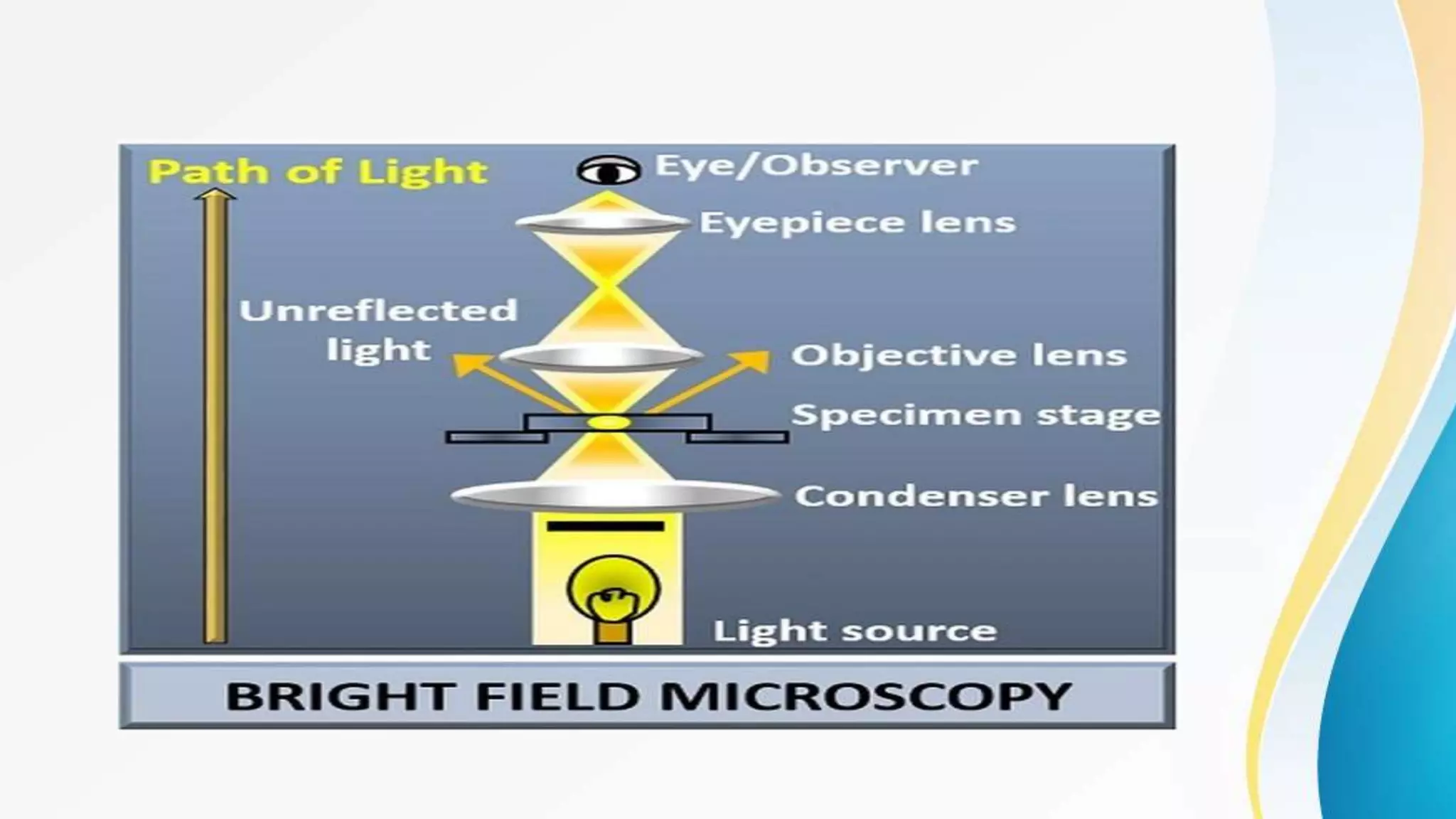 Microscopy Pptx