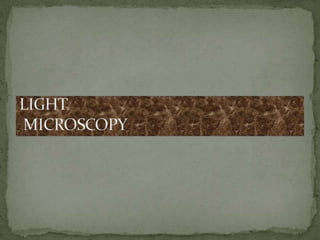 microscopy.pptx | Photography | Arts and Crafts