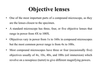 Microscopy.ppt Microscopy.pptvMicroscopy.pptMicroscopy.pptMicroscopy ...