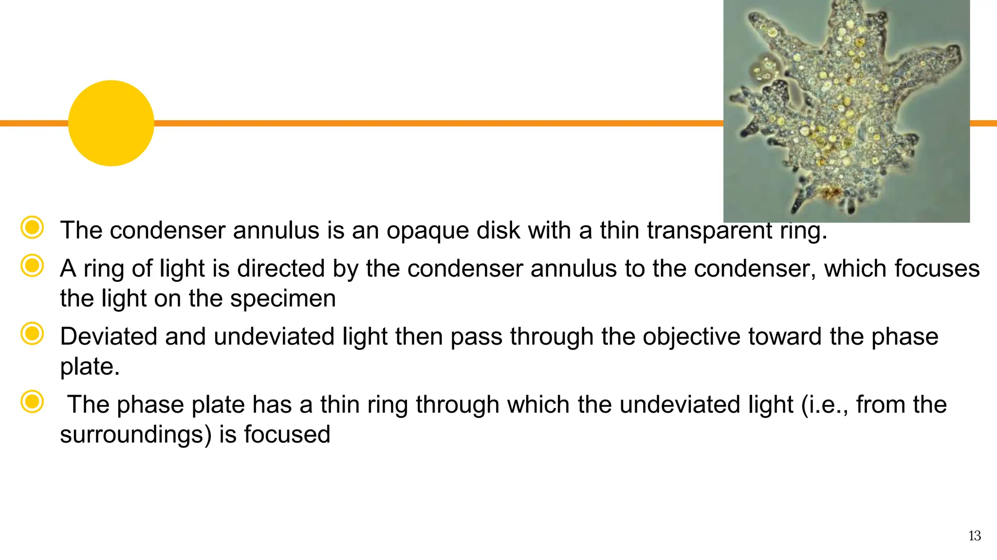 Principles of microscopy: A microscope is an instrument that produces ...