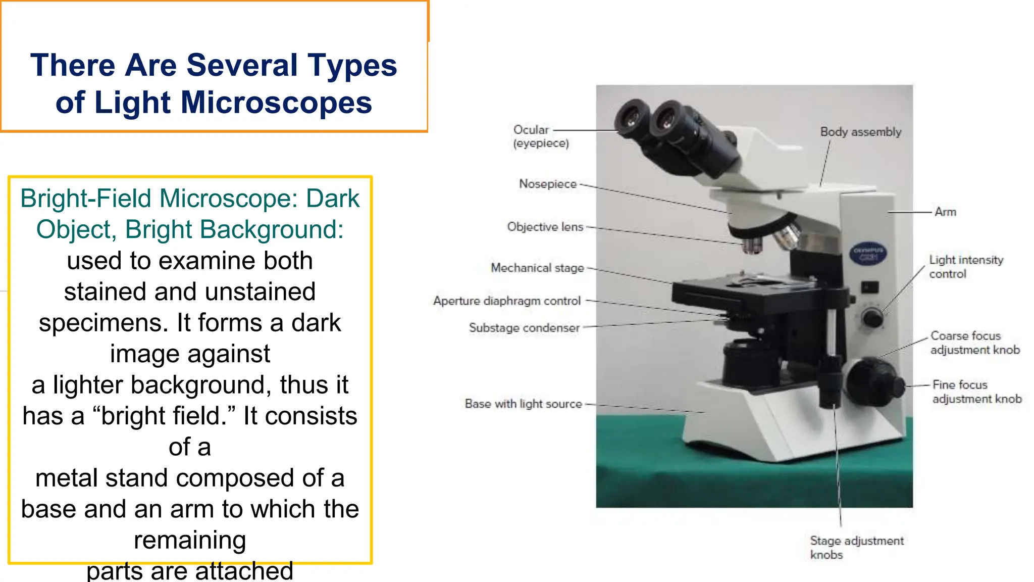 Principles of microscopy: A microscope is an instrument that produces ...