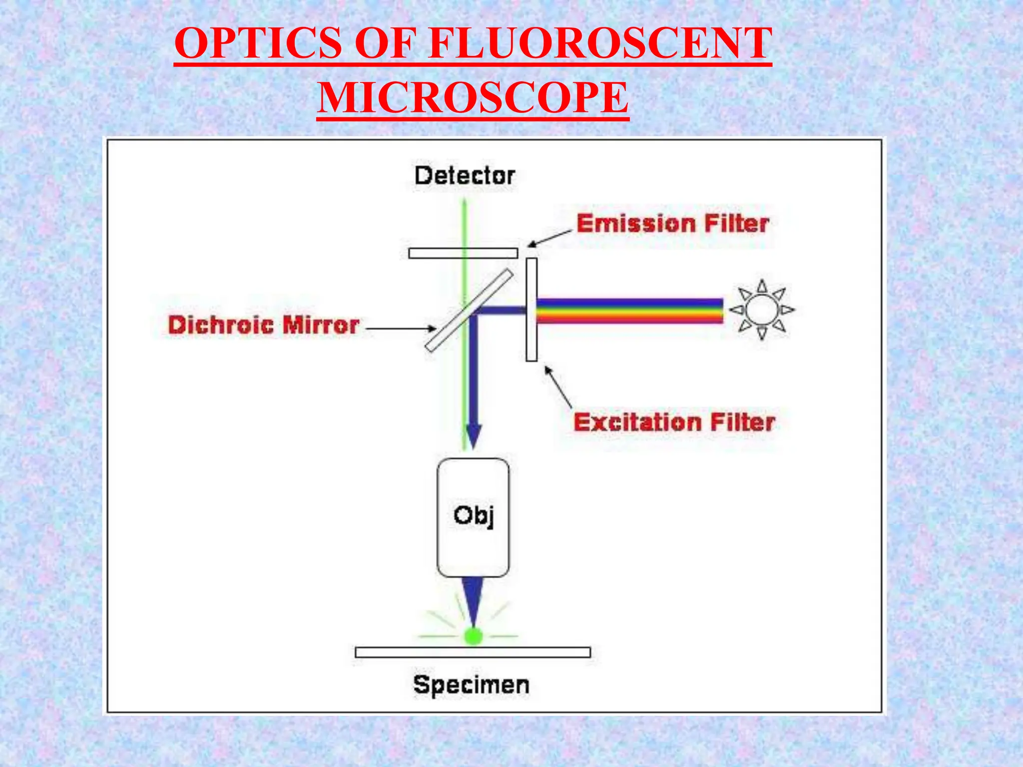 MICROSCOPY.pdf.......................... | PDF
