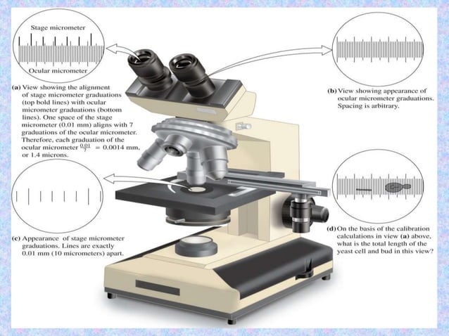MICROSCOPY.pdf.......................... | PDF