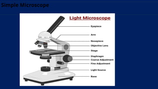 MICROSCOPY AND TYPES OF MICROSCOPES.pptx