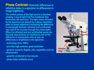 Microscopy.pdf used for an detailed research on microscope | PPT