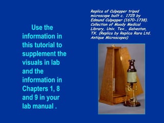 Microscopy.pdf used for an detailed research on microscope | PPT