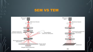 Microscopy. the electron transmission microscope | PPT