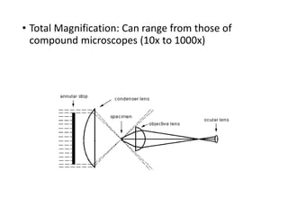 Comprehensive Overview of Microscopy Techniques in Biochemistry and ...