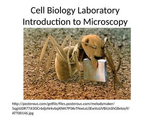 Microscopy-3 Cell biology microscope labs | PPTX