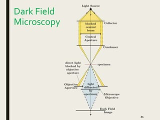 Applications of microscopy in bacteriology and its advancements | PPTX