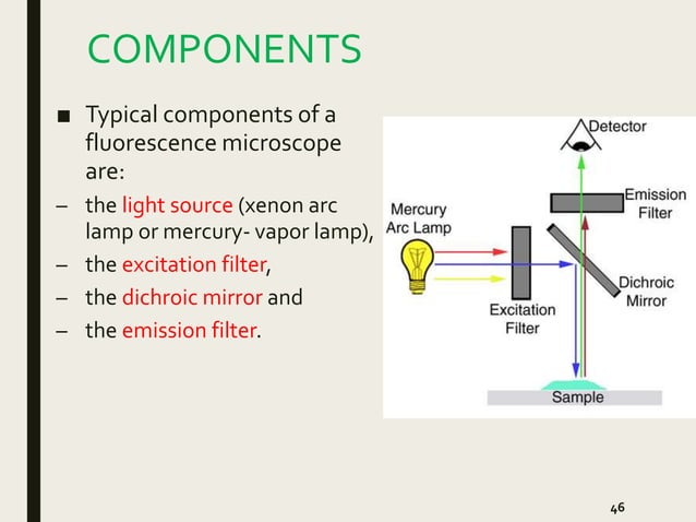 Applications of microscopy in bacteriology and its advancements | PPTX