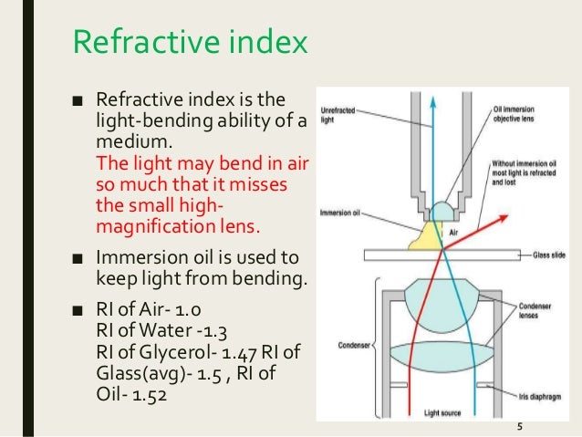 Applications of microscopy in bacteriology and its advancements
