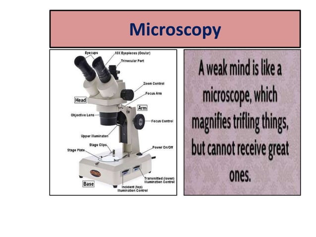 Microscopy - Study | PPT