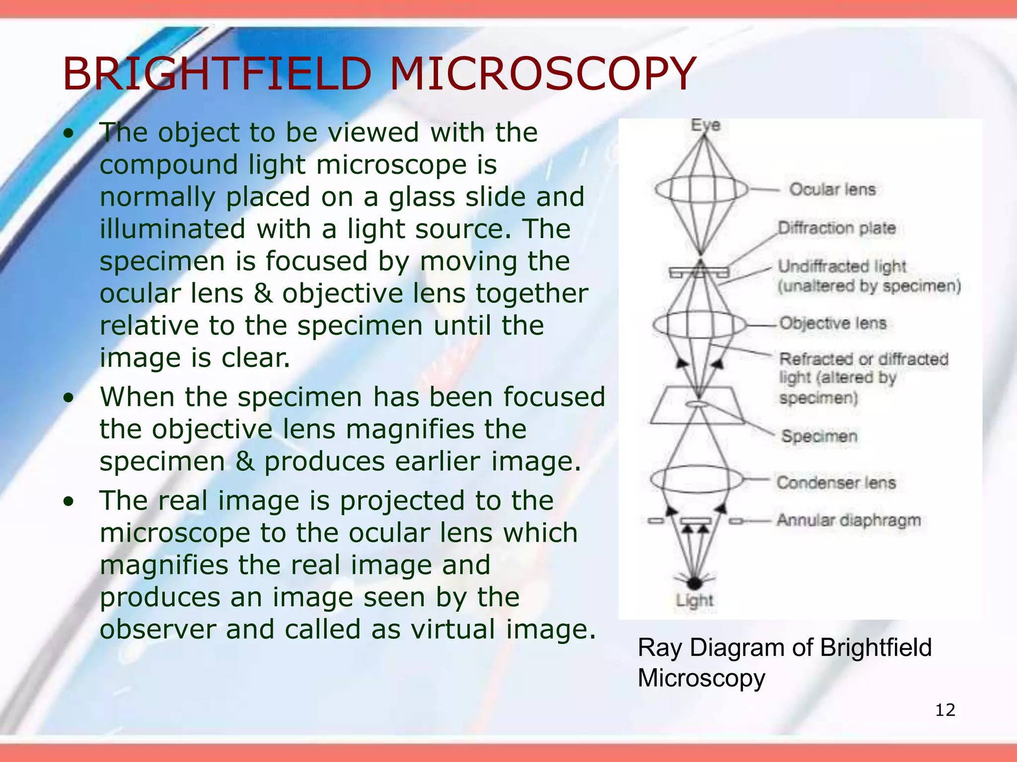 microscopy- lecture 2.pptx