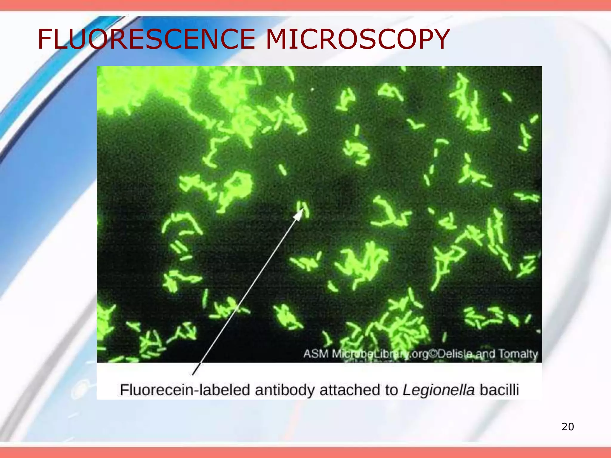 microscopy- lecture 2.pptx