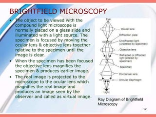 microscopy- lecture 2.pptx