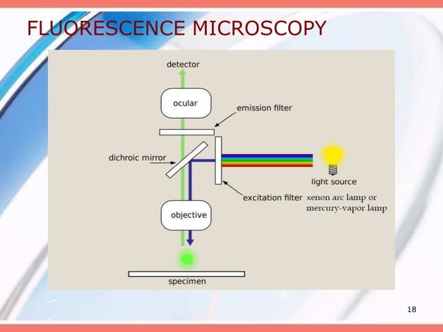 microscopy- lecture 2.pptx