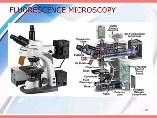 microscopy- lecture 2.pptx