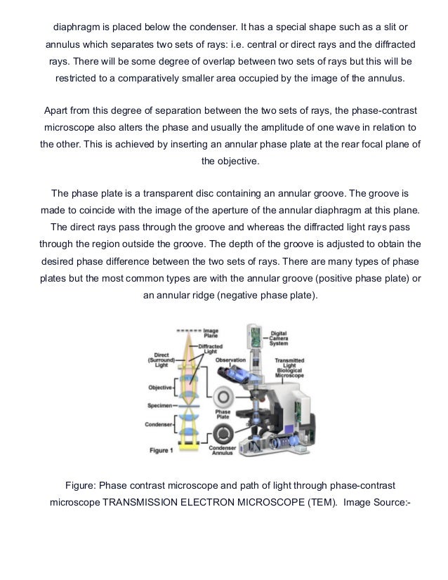 To Study Principles of Microscopy: Light Microscope, Phase Contrast ...