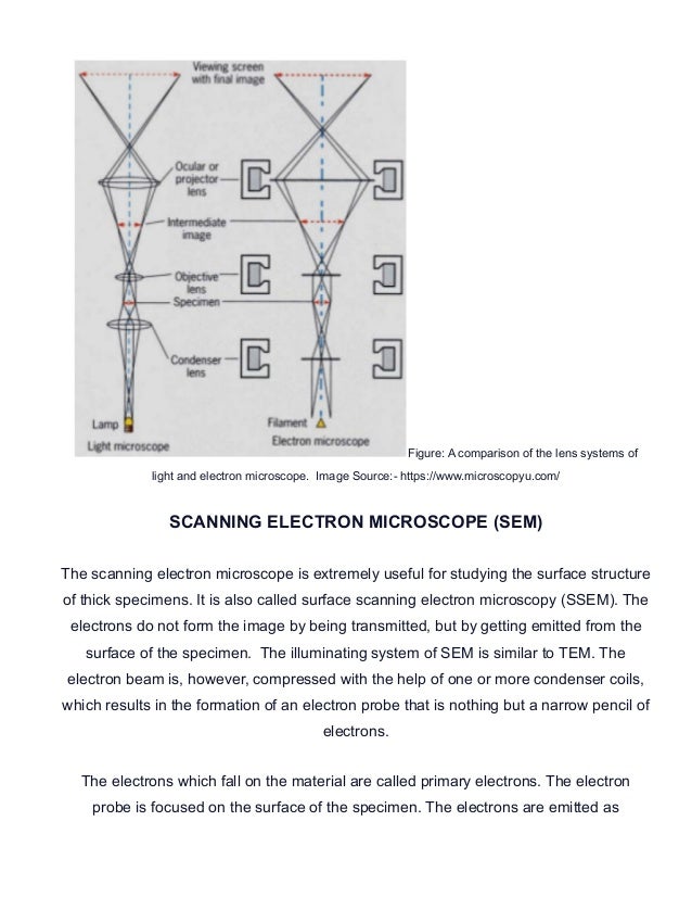 To Study Principles of Microscopy: Light Microscope, Phase Contrast ...