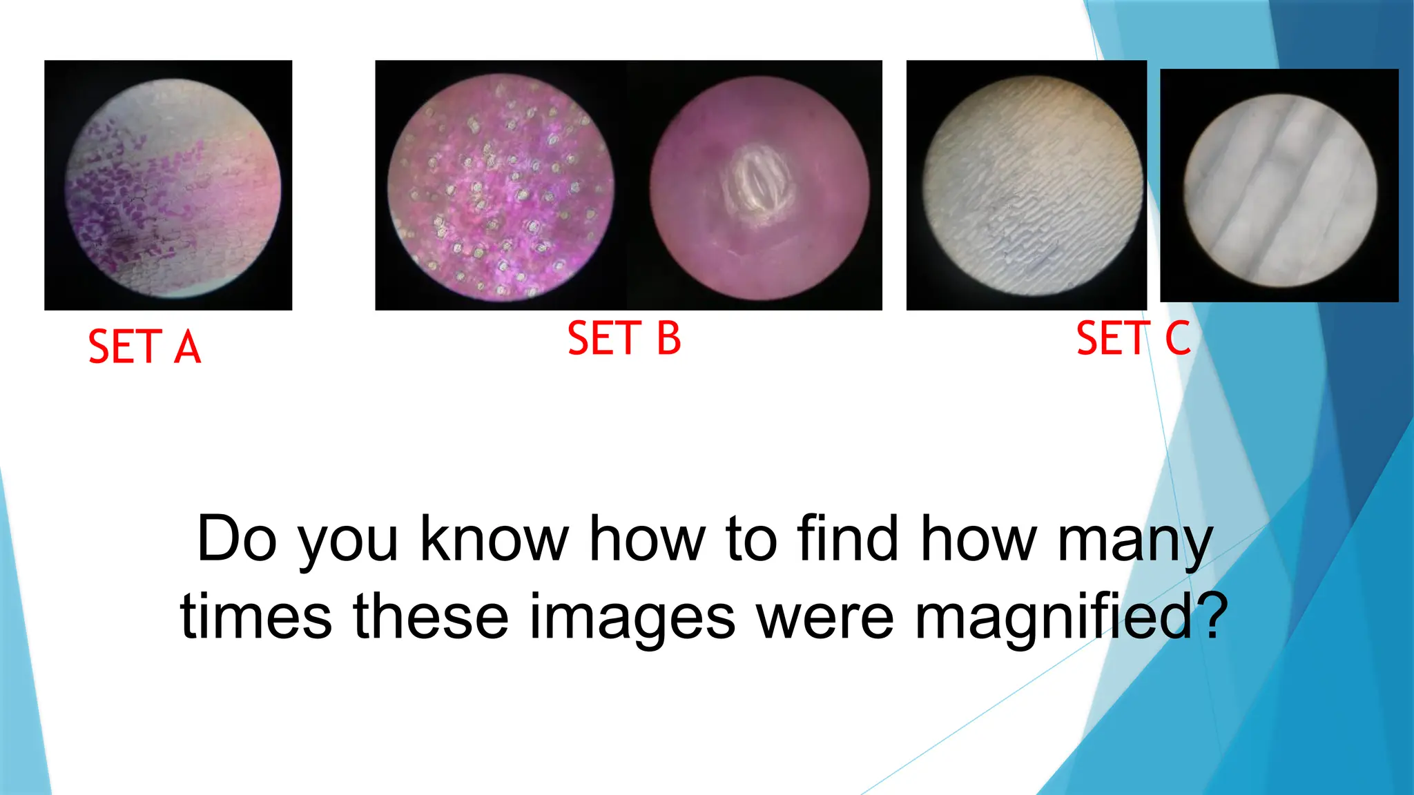 MICROSCOPY SCIENCE 7 -MAGNIFICATION.pptx