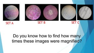 MICROSCOPY SCIENCE 7 -MAGNIFICATION.pptx