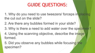 MICROSCOPY SCIENCE 7 - WET MOUNT.pptx