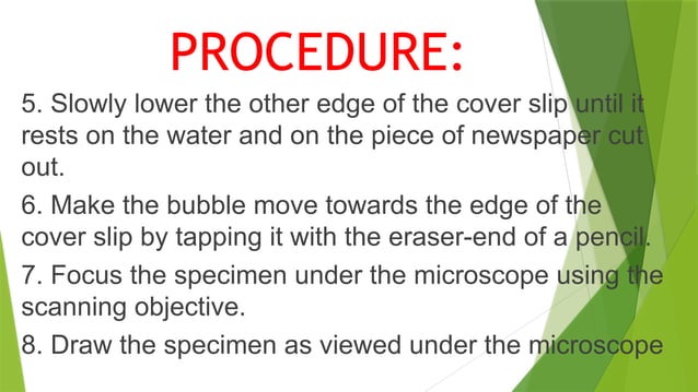 MICROSCOPY SCIENCE 7 - WET MOUNT.pptx | Chemistry | Science