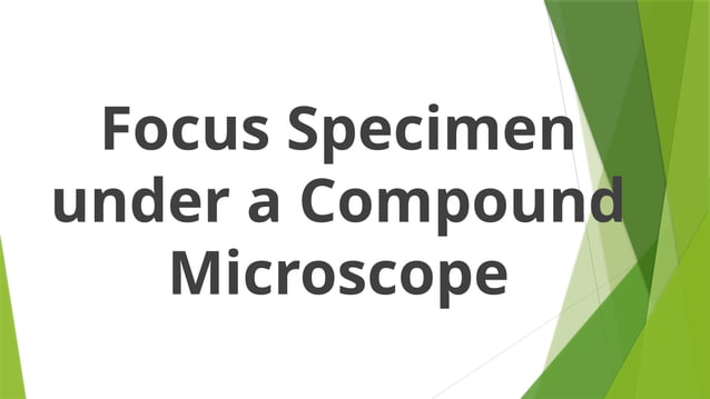 MICROSCOPY SCIENCE 7 - WET MOUNT.pptx | Chemistry | Science