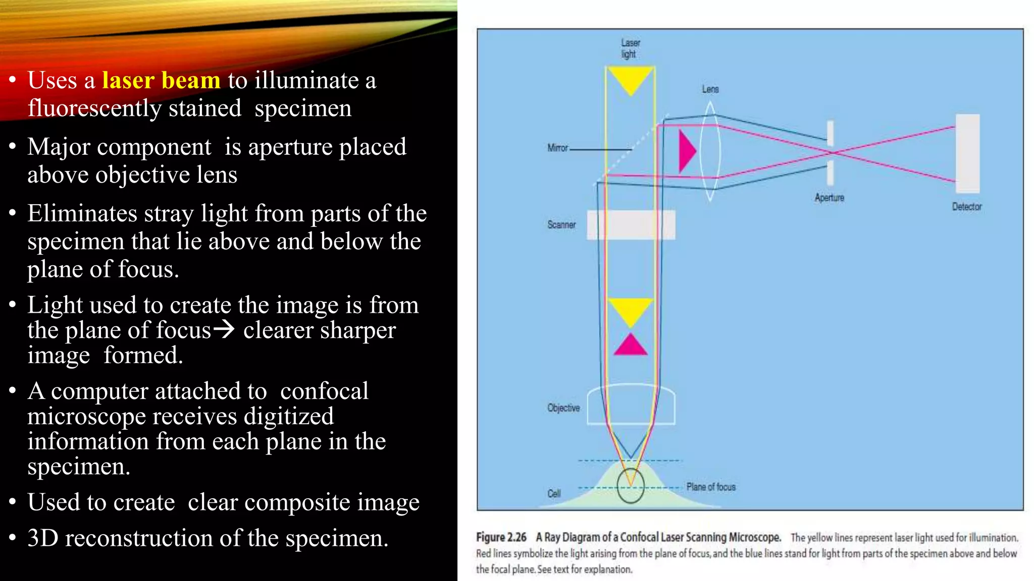 Microscopy 4 anna | PPT