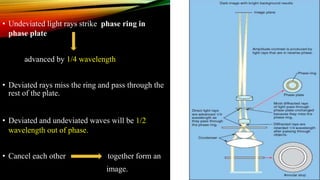 Microscopy 4 anna | PPT