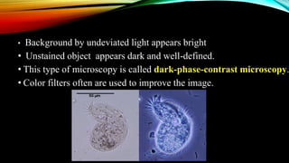 Microscopy 4 anna | PPT