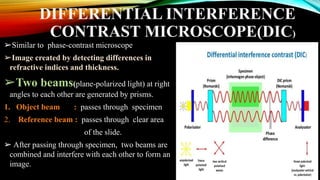 Microscopy 4 anna | PPT