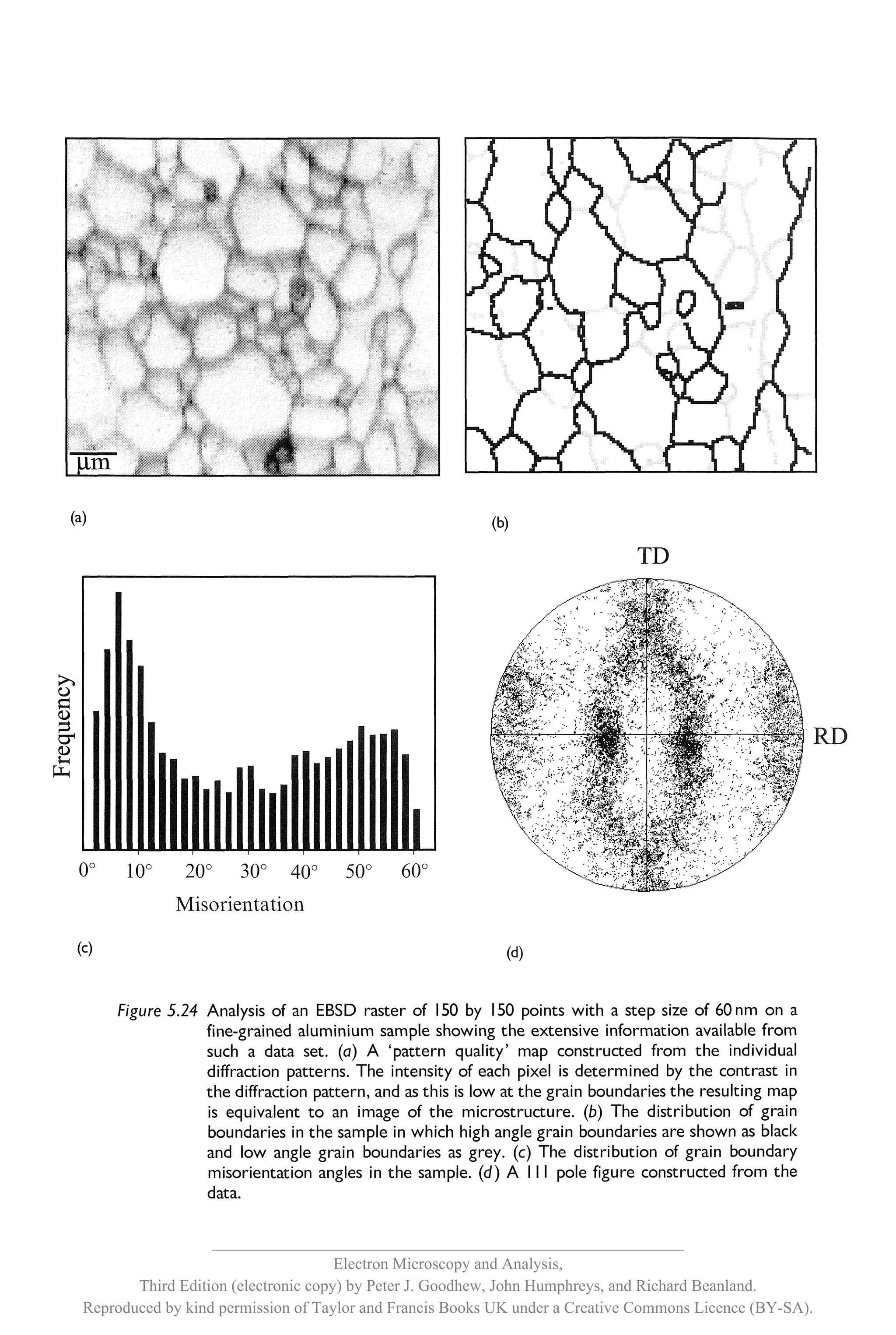 The scanning electron microscope | PDF