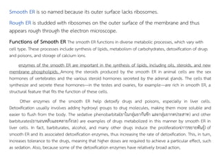 Microscopy, cell and function By pitsanu duangkartok | PDF