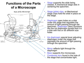 microscopy & epithelium for medical students.ppt