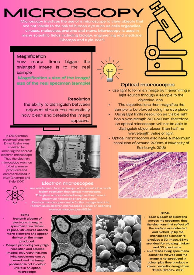 Microscopy Factsheet.pdf