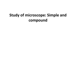 Microscopy practical | PPTX