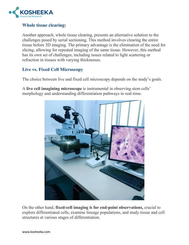 Microscopy in Stem Cell Research: Unlocking New Dimensions of Cellular ...
