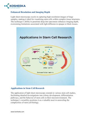 Microscopy in Stem Cell Research: Unlocking New Dimensions of Cellular ...