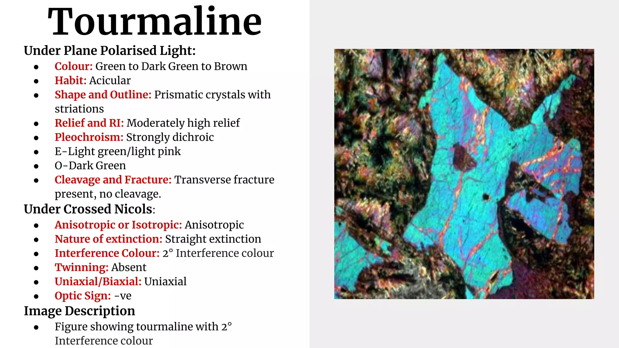 Microscopic Mineralogy- the study of minerals under microscope | PDF