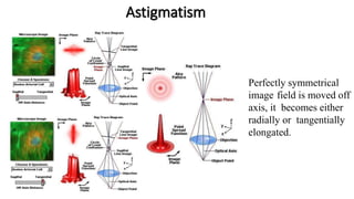 Microscopy | PPTX