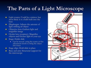 Microscopy_.ppt