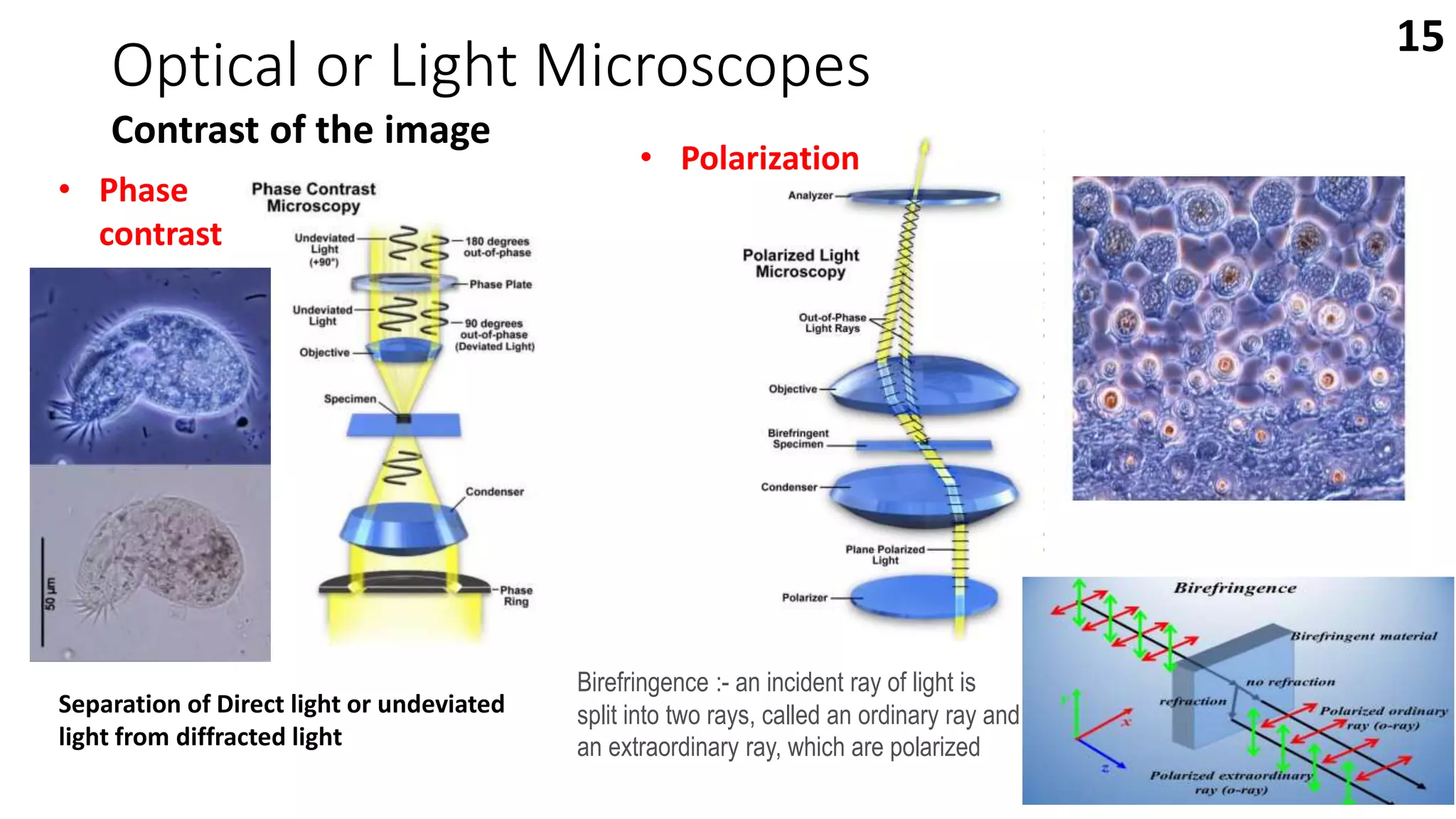 microscopy ppt.pptx