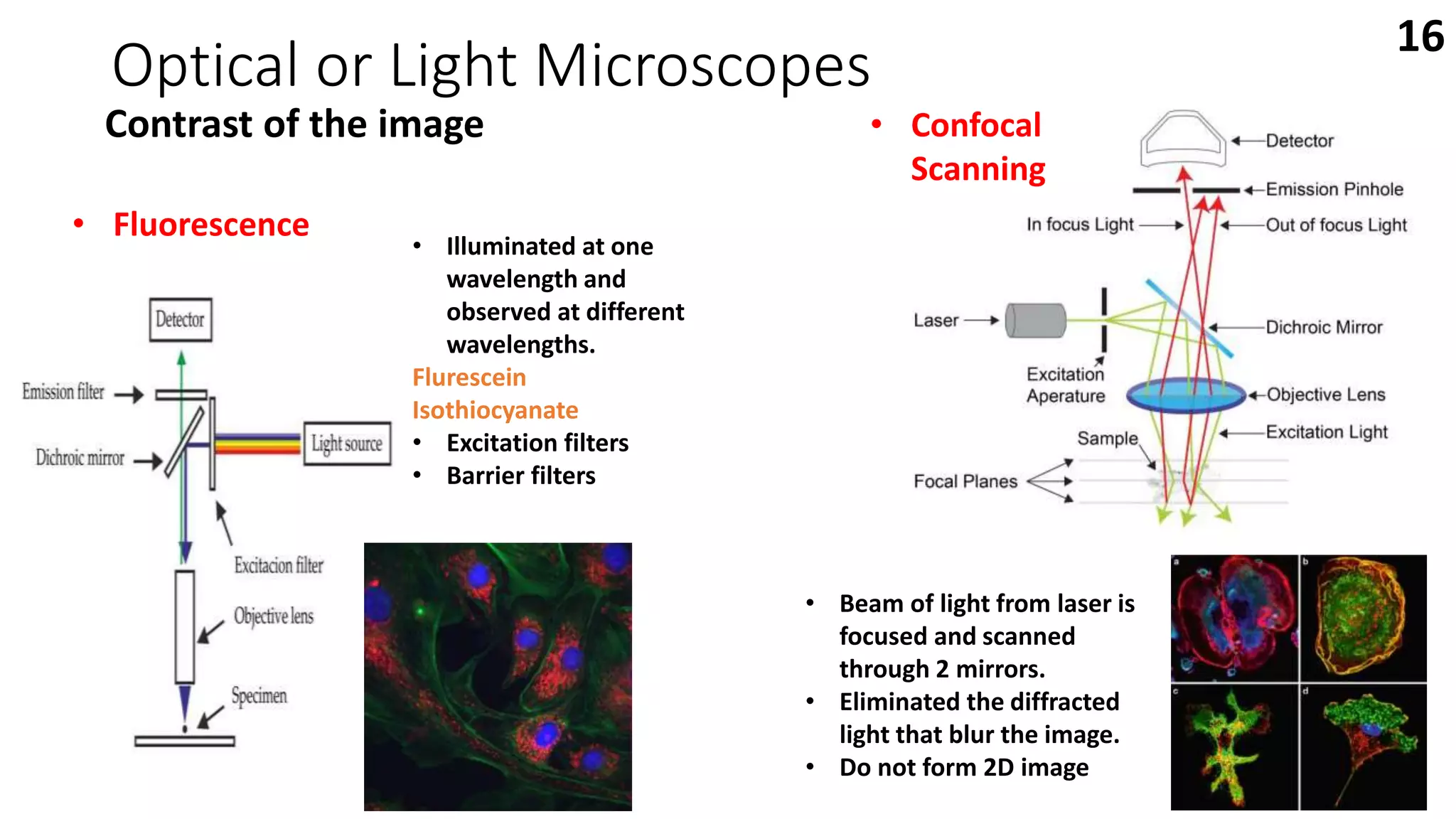 microscopy ppt.pptx